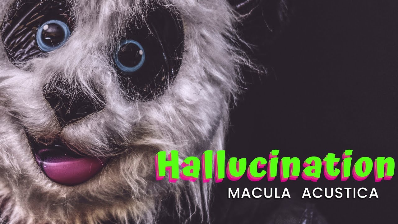 grunge rock psichedelic - HALLUCINATION - MACULA ACUSTICA - YouTube