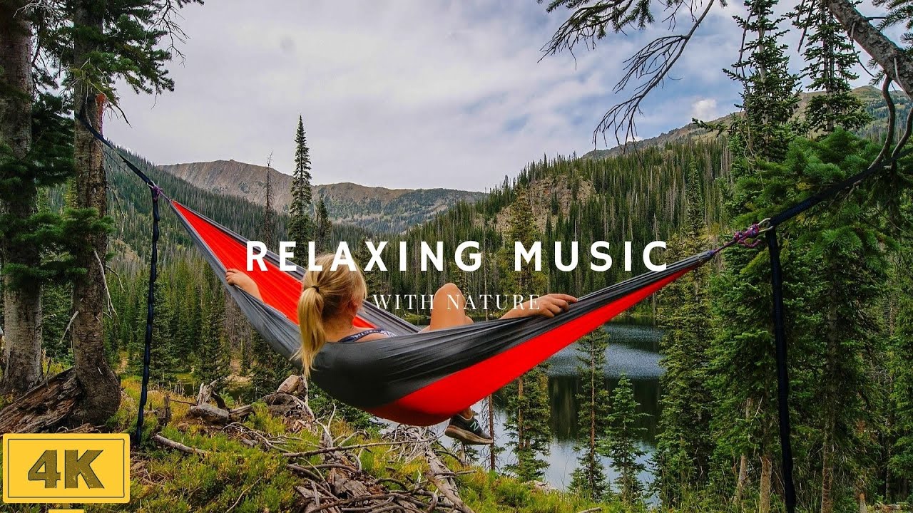 4K VIDEO - 3 Hours Of Relaxing Music 《NO ADS 》 With Nature for Stress ...