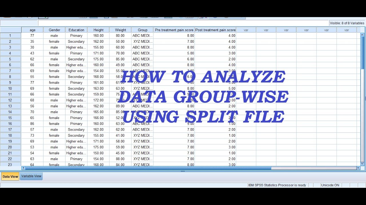How to Compare Groups in SPSS (Using Split File) - YouTube