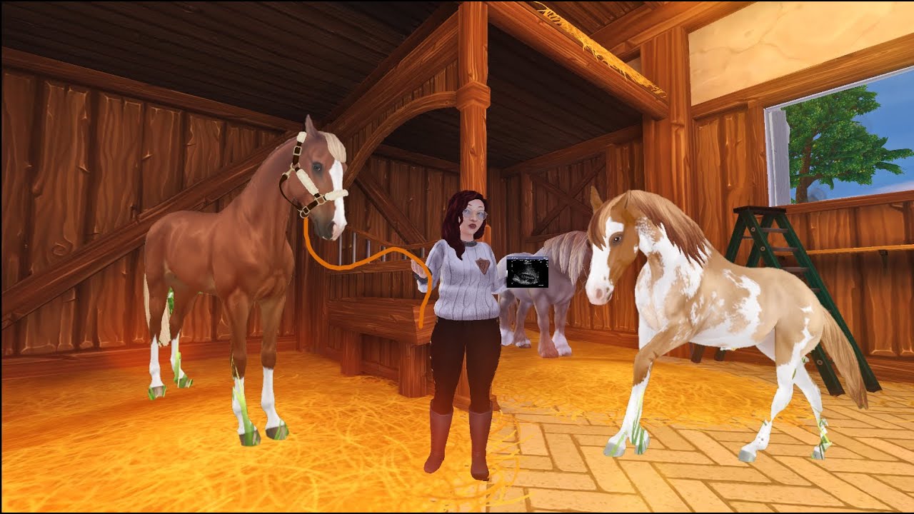 talking about breeding my mare pumpkin with my stallion Chester/SSO RRP/Haley Waterbeach. - YouTube