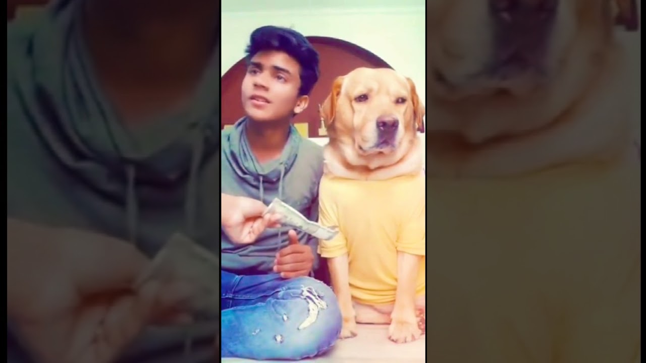 TOP 15 comedy meme vidios/new memes/ new comedy vidio most funny video ...