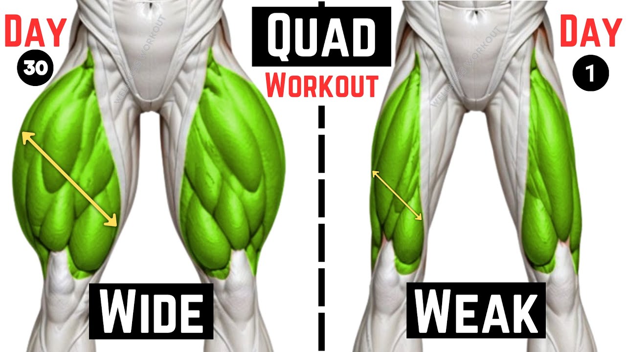 Intense Quads Workout | Build Strong Legs & Boost Strength - YouTube