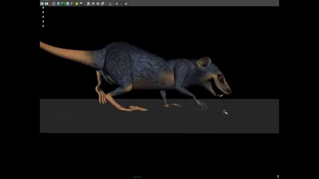 Rat run cycle - YouTube