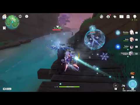 How To Fight Cryo Cicin Mage