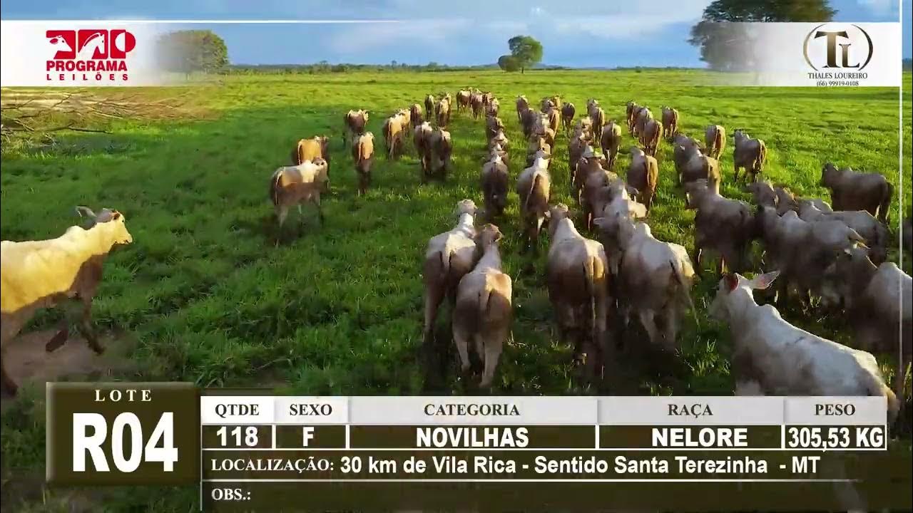 LOTE R04 - YouTube