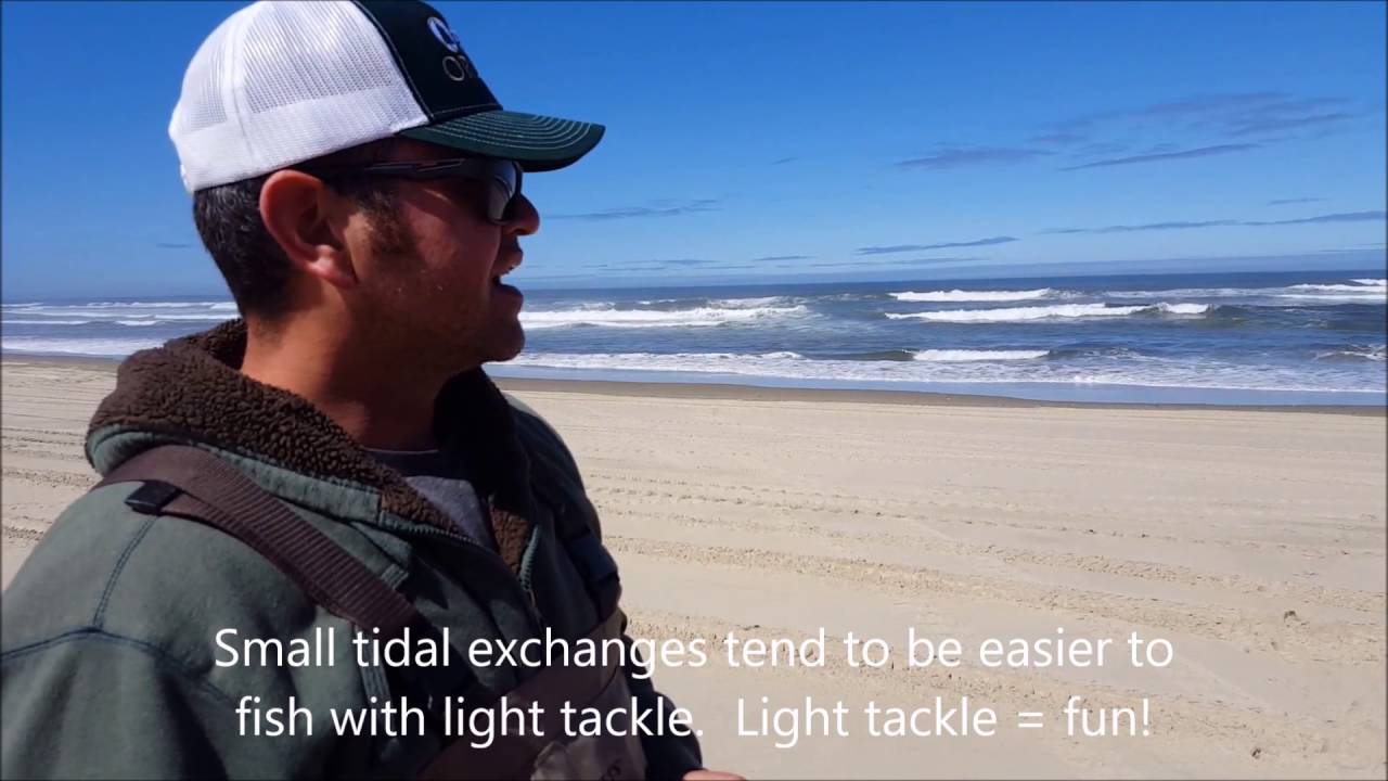 Surf Perch Oregon Coast - YouTube