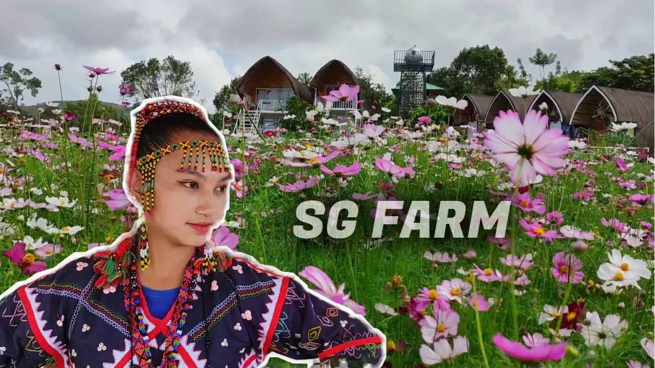 The New SG FARM 2021 | SOX is NEXT - YouTube