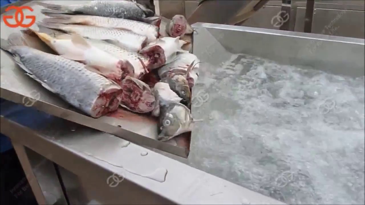 Fisheries Cleaning Equipment|Fish Meat Washing Machine|Chicken Cleaning ...