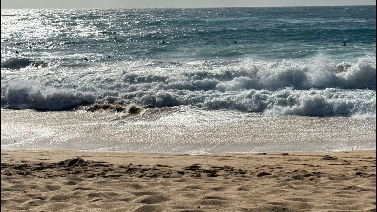 Sandys Beach Action LIVE - YouTube