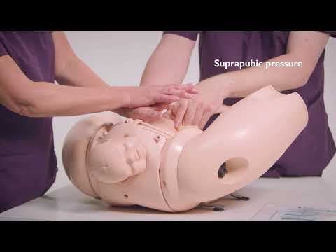 PROMPT Shoulder Dystocia Training - supported by Limbs & Things