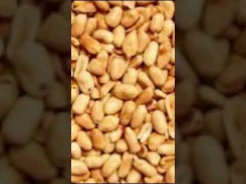 Yer Fıstığının Faydaları Nelerdir? Yer Fıstığı Kilo Aldırır mı? Zararları Var mıdır?