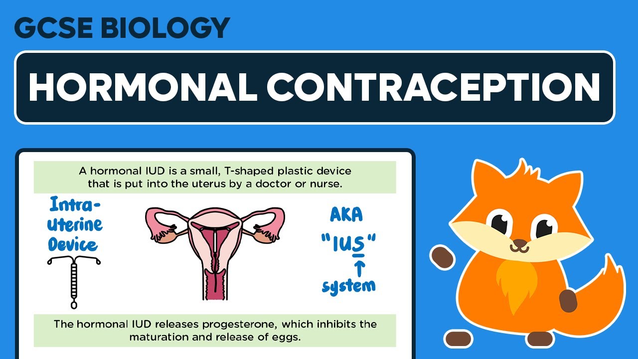 Hormonal Contraception - GCSE Biology - YouTube