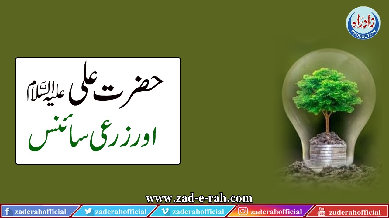 Hazrat Ali aur zari science l Zad e Rah Official - YouTube