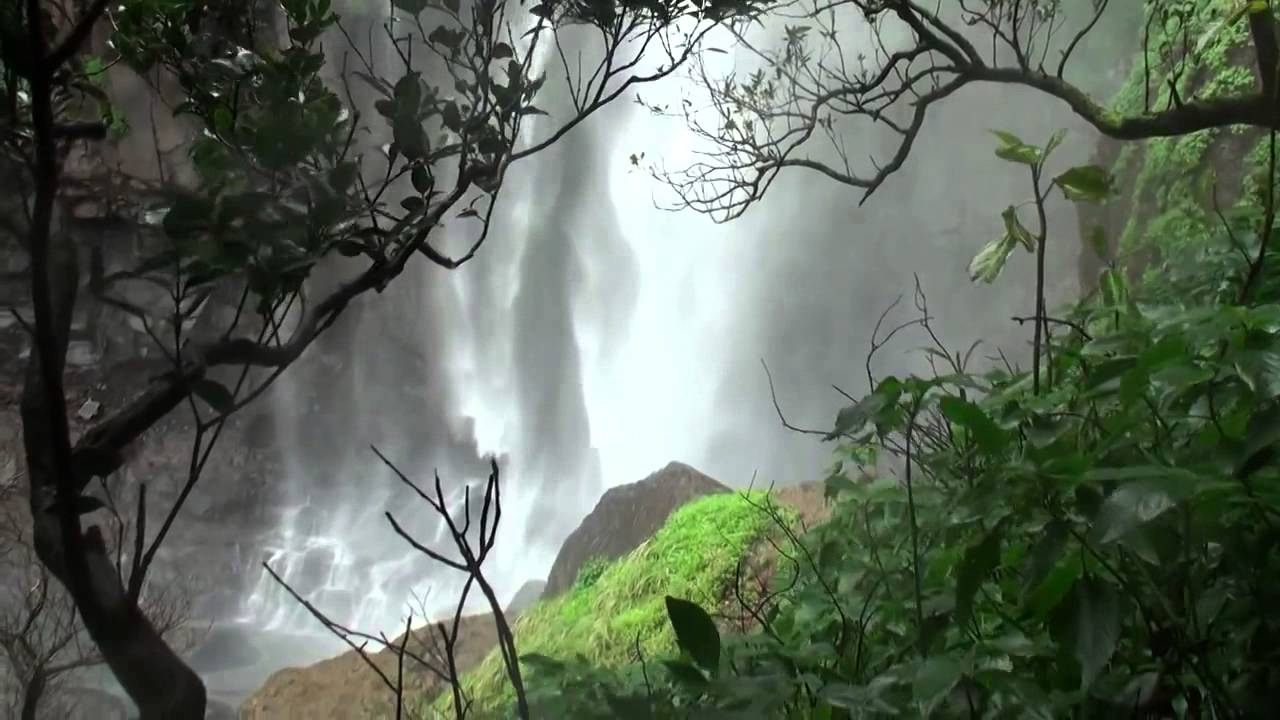 Ozarde waterfall, Koyananagar,India - YouTube