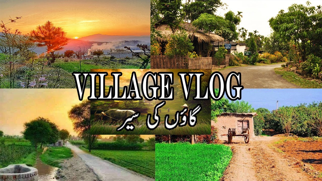 Beautiful Village Life Family Vlog || Sugarcane Juice Jaggery Making ...