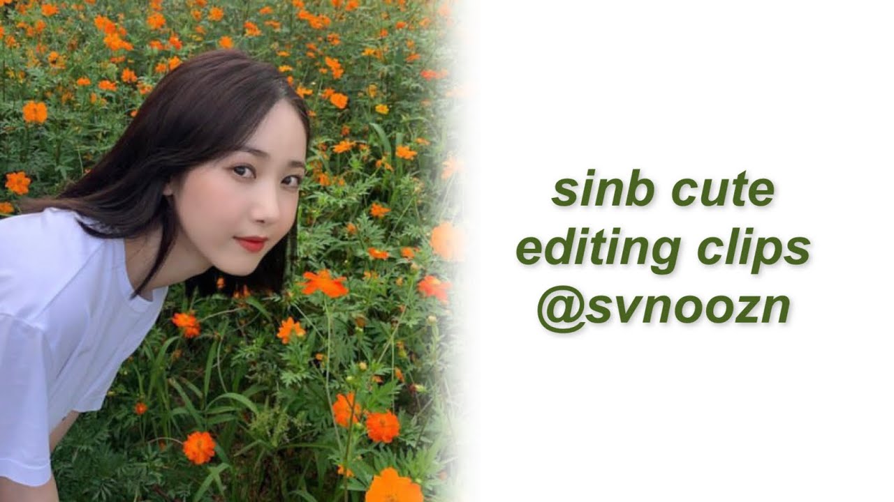 viviz sinb editing clips 🪷 - YouTube