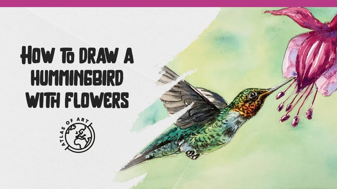 How to draw a hummingbird with flowers in watercolor - YouTube