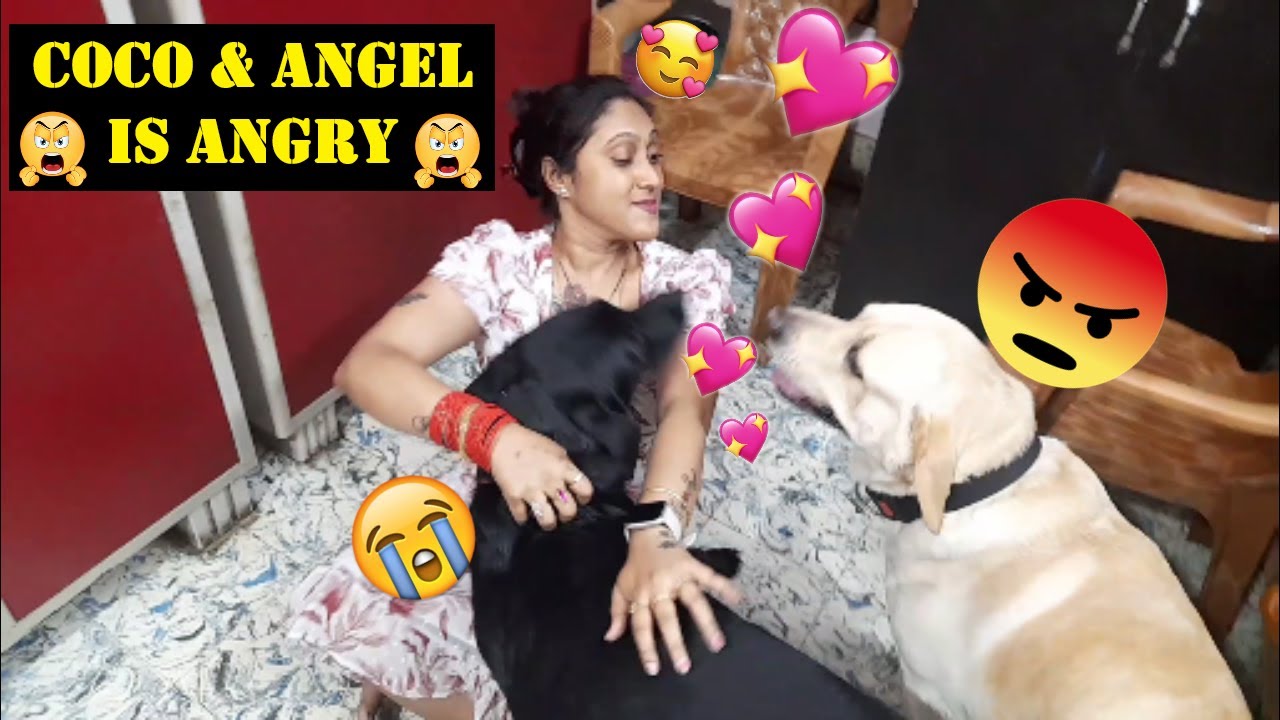 COCO & ANGEL ARE ANGRY ON MUM FOR GOING OUT WITHOUT THEM | WATCH THE ...