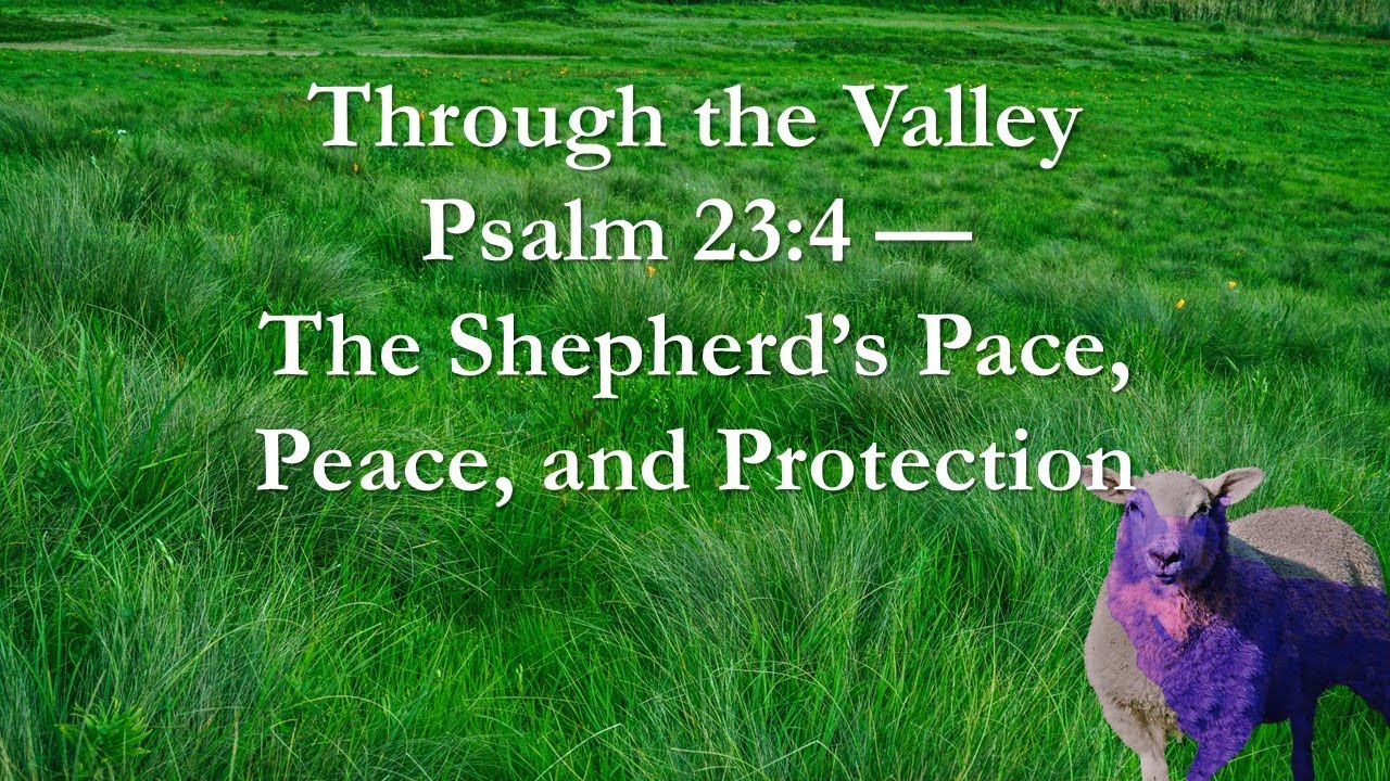 Through the Valley: Psalm 23:4- The Shepherd's Pace, Peace, and ...