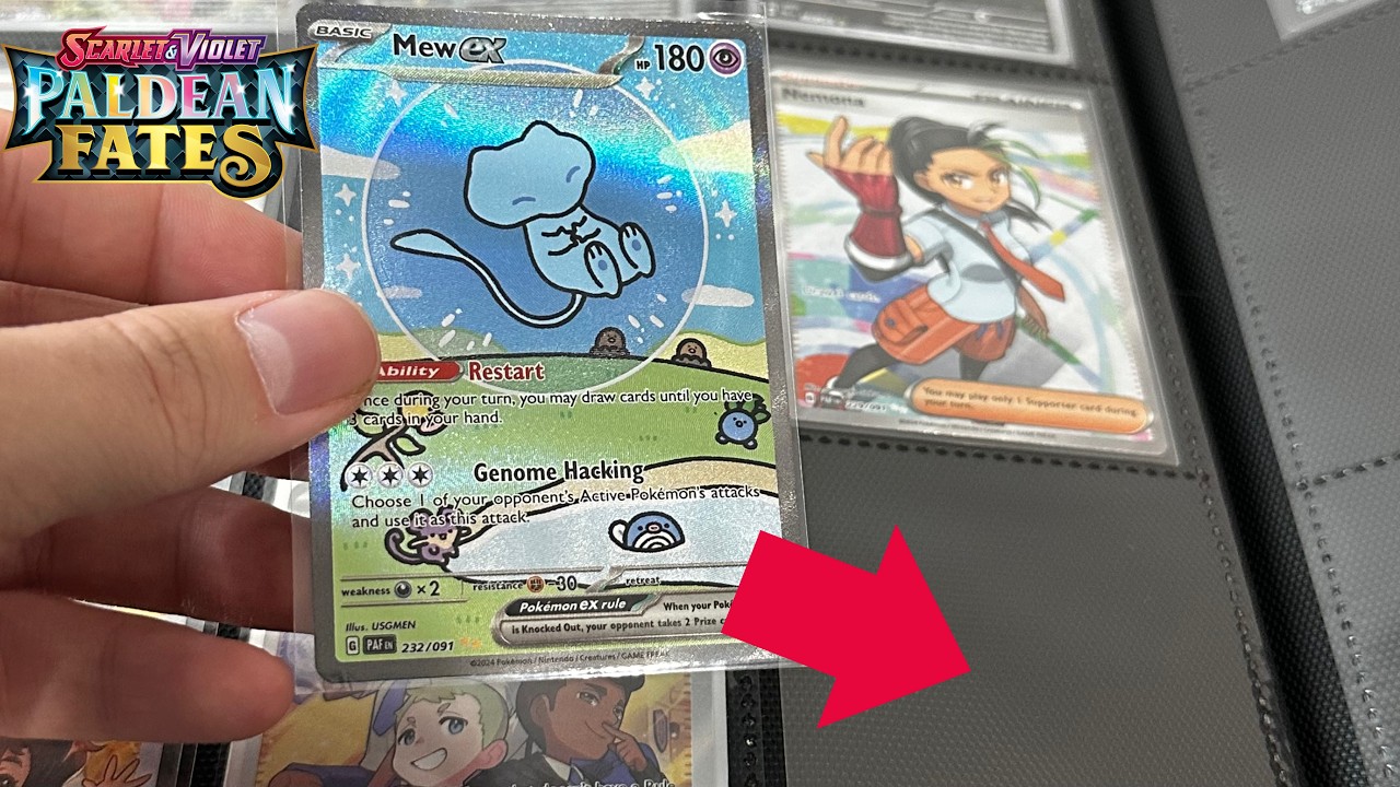 Come BUILD a pokemon binder with // HOW i organise my pokemon cards ...