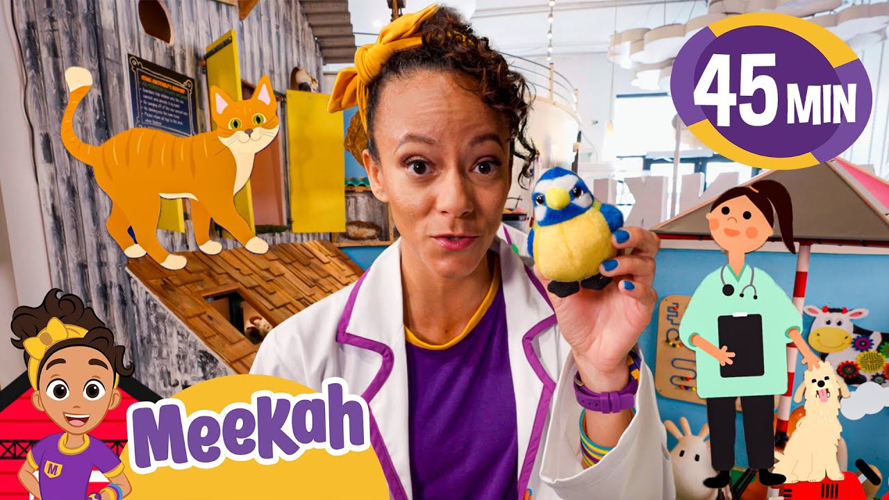 Meekah becomes an Animal Doctor! | Educational Videos for Kids | Blippi ...