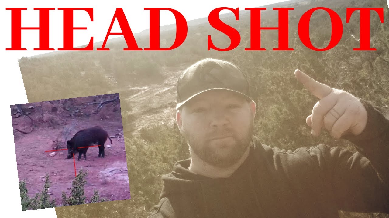 Hog hunting head shot - YouTube