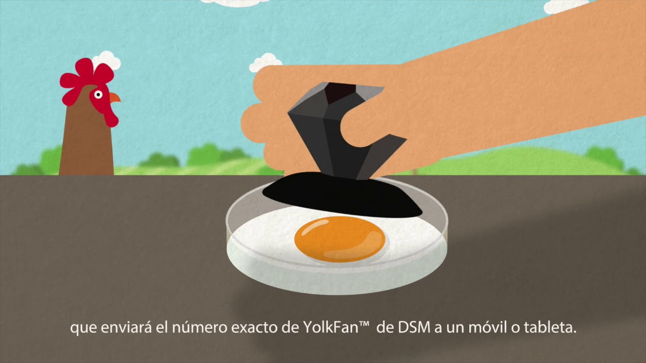 Digital Yolk Fan - Medición del color de la yema del huevo en la era ...
