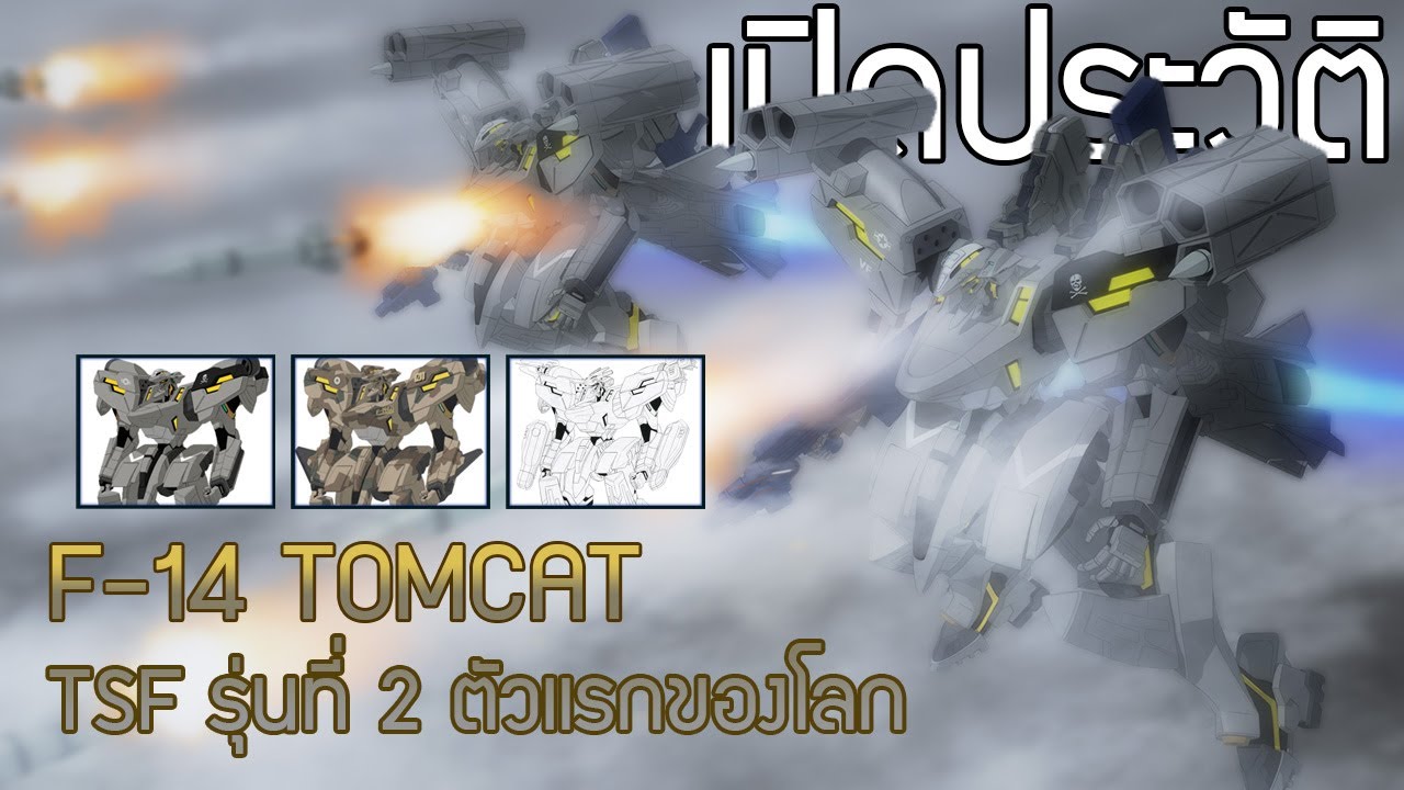"F-14 Tomcat" ความล้มเหลวสู่ความหวัง (TSF DATA EP.5) - YouTube