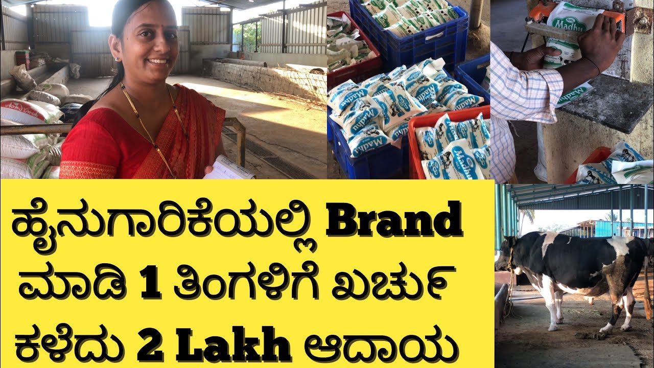Hainugarike Information In Kannada Dairy Farming In Kannada How To hainugarike-information-in-kannada-dairy-farming-in-kannada-how-to