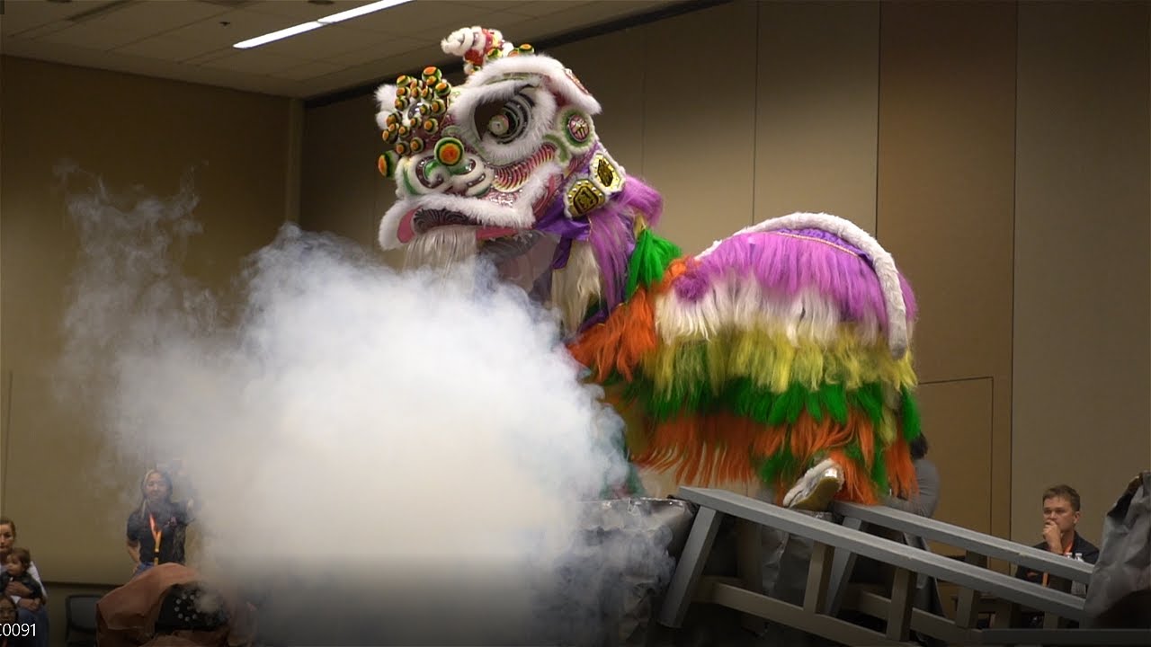 Majestic Lion Dance // Phoenix Lion Dance Competition 22' - YouTube