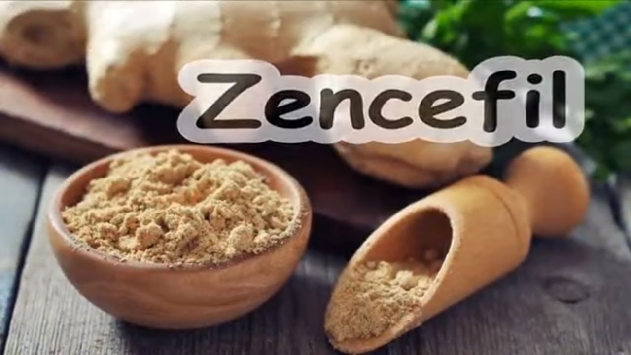 Zencefil - YouTube