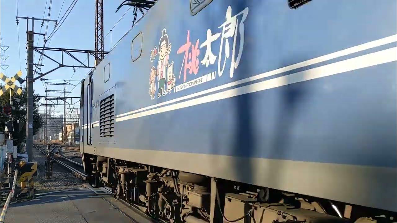 【豪快なジョイント音！】JR貨物 EF210-4号機+コキ22B 岡A26仕業[71レ] 新居浜行 小田第三踏切通過！[2023.2.22(水)] - YouTube