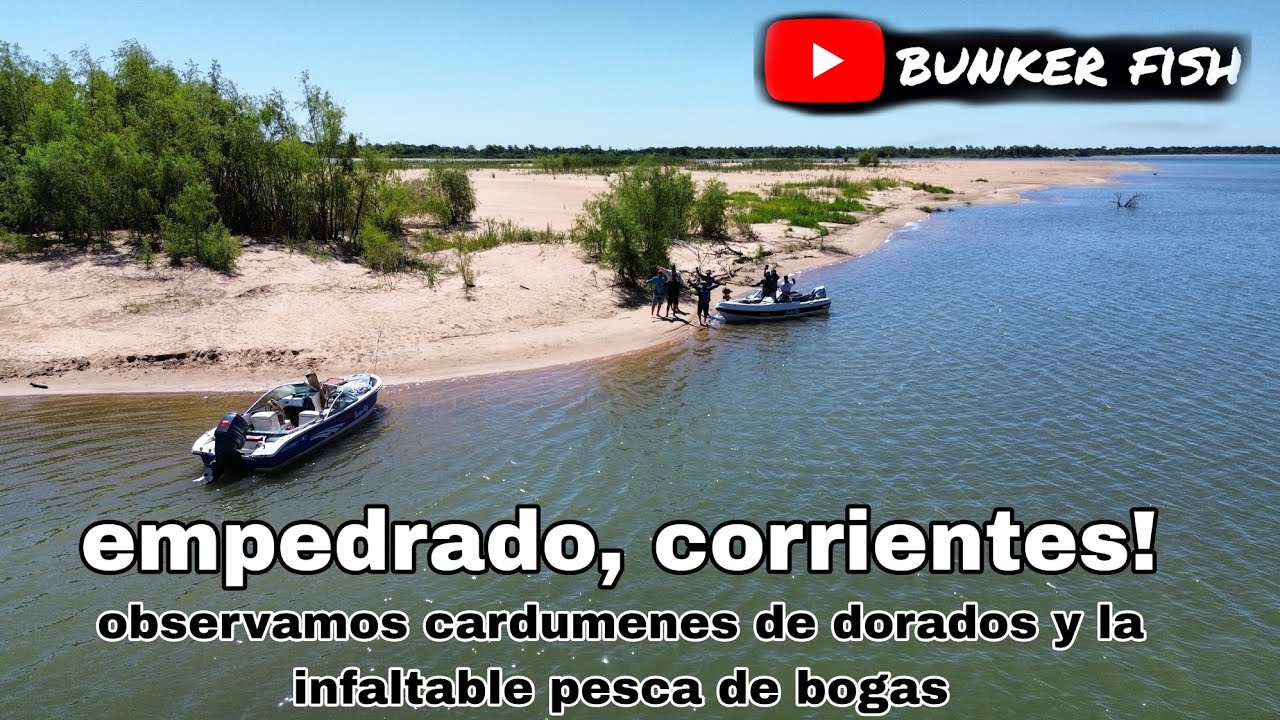 CARDUMEN DE DORADOS Y PESCA DE BOGAS en empedrado,corrientes ! BUNKER ...
