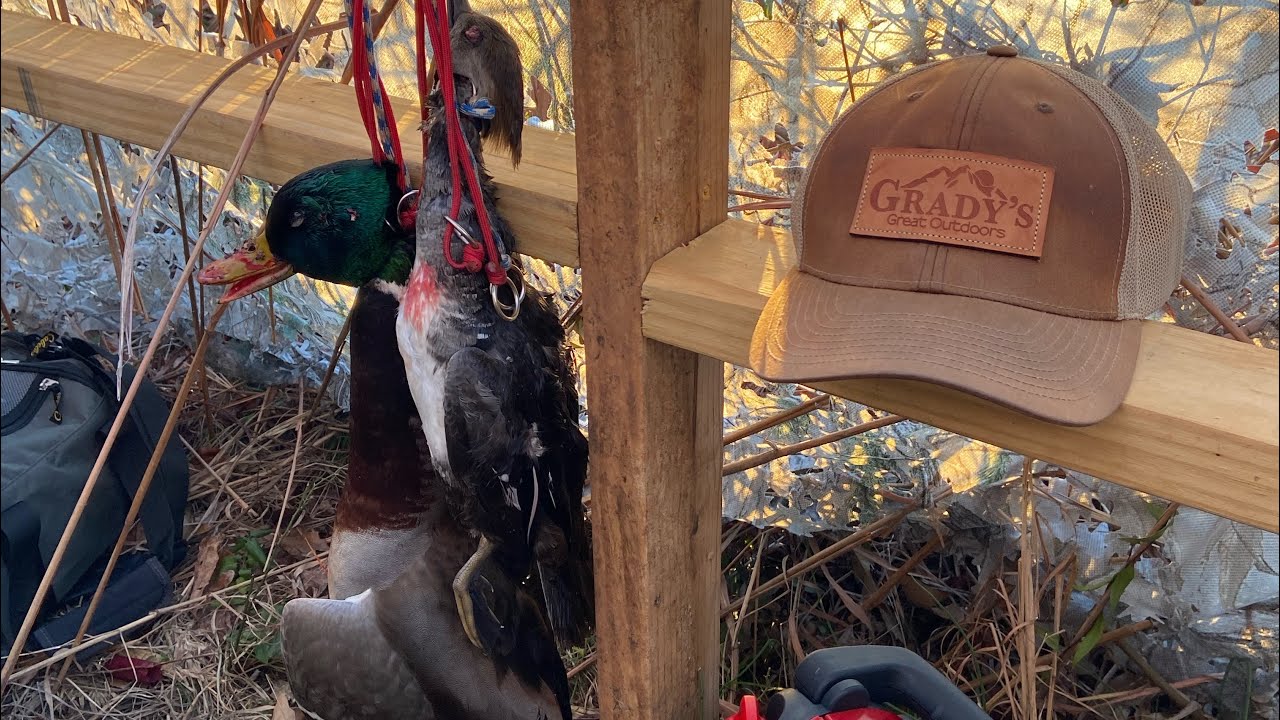 Easy Mallard Calling Tip!!! - YouTube