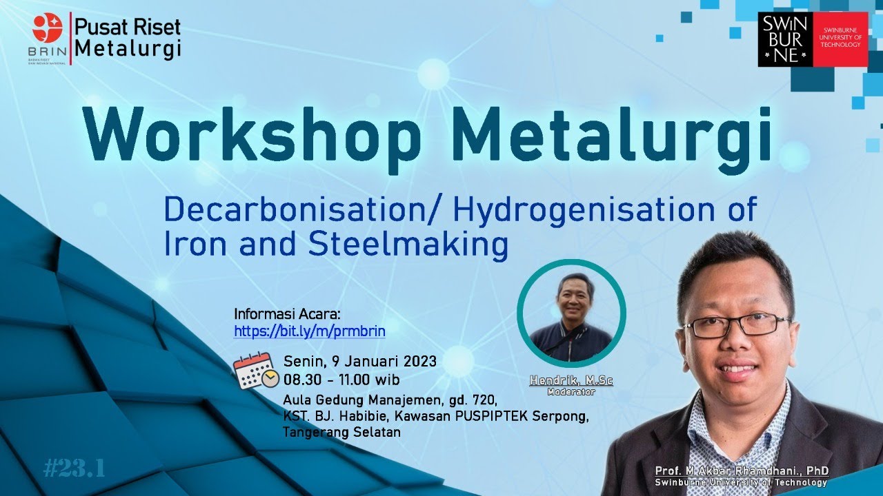 Decarbonization/Hydrogenation of Iron and Steel Making | Workshop ...