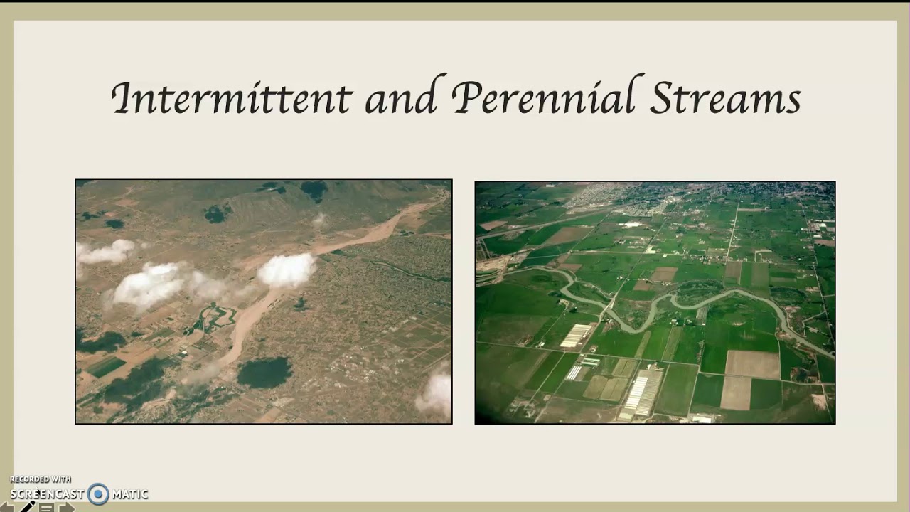 Intermittent, Perennial and Exotic Streams - YouTube