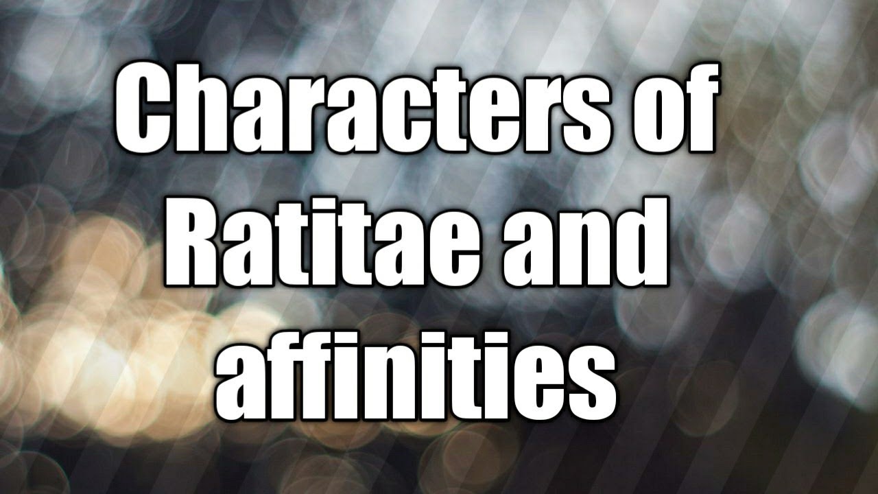 Characters of Ratitae - YouTube