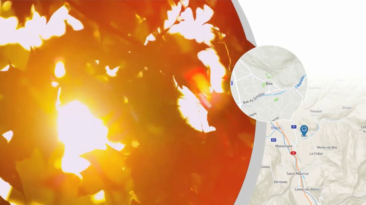 A vendre - Maison - Bex (1880) - 6.5 pièces - 270m² - YouTube