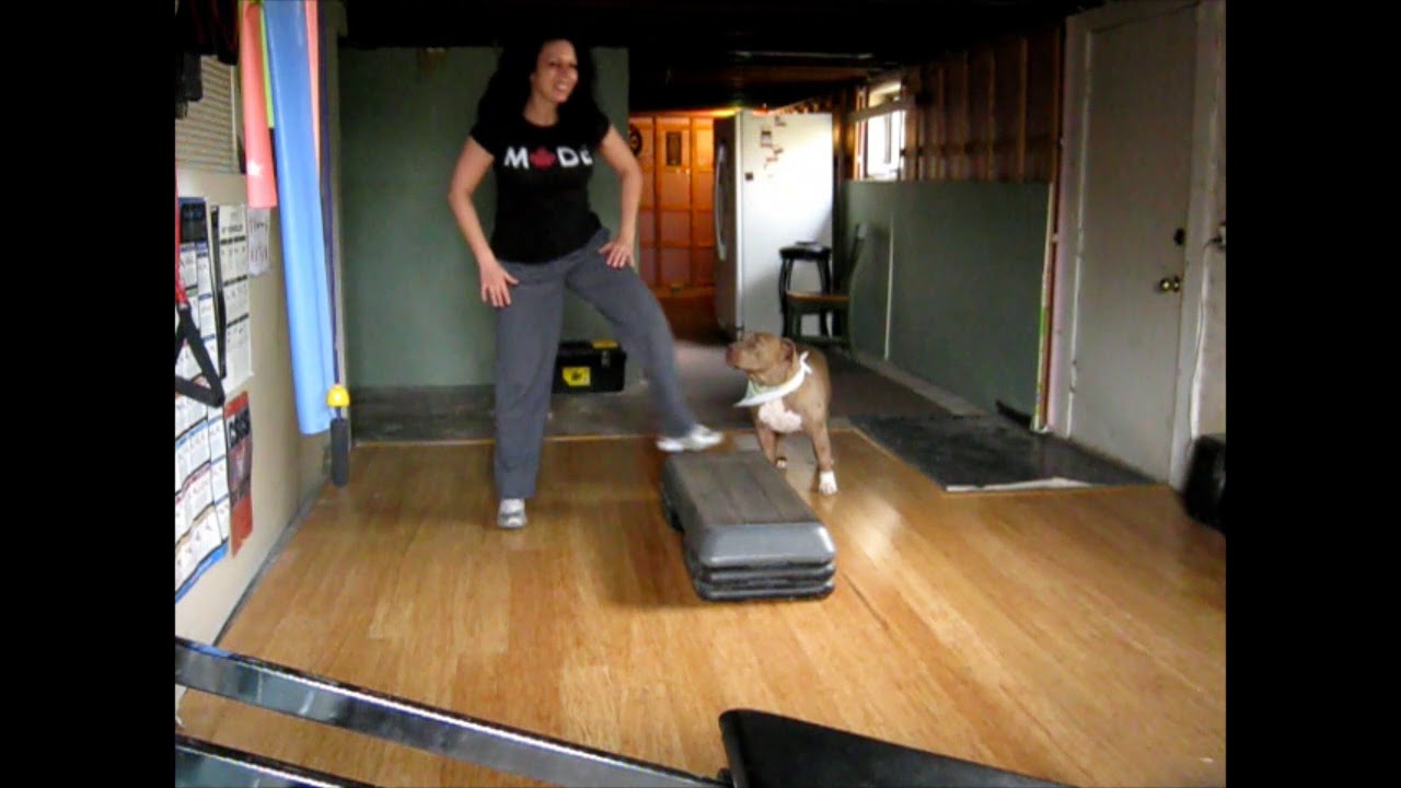 Low-Impact Step Choreography - March 28, 2019 - YouTube