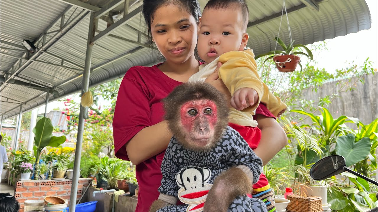 Monkey Sun's family makes offerings at the beginning of the year - YouTube