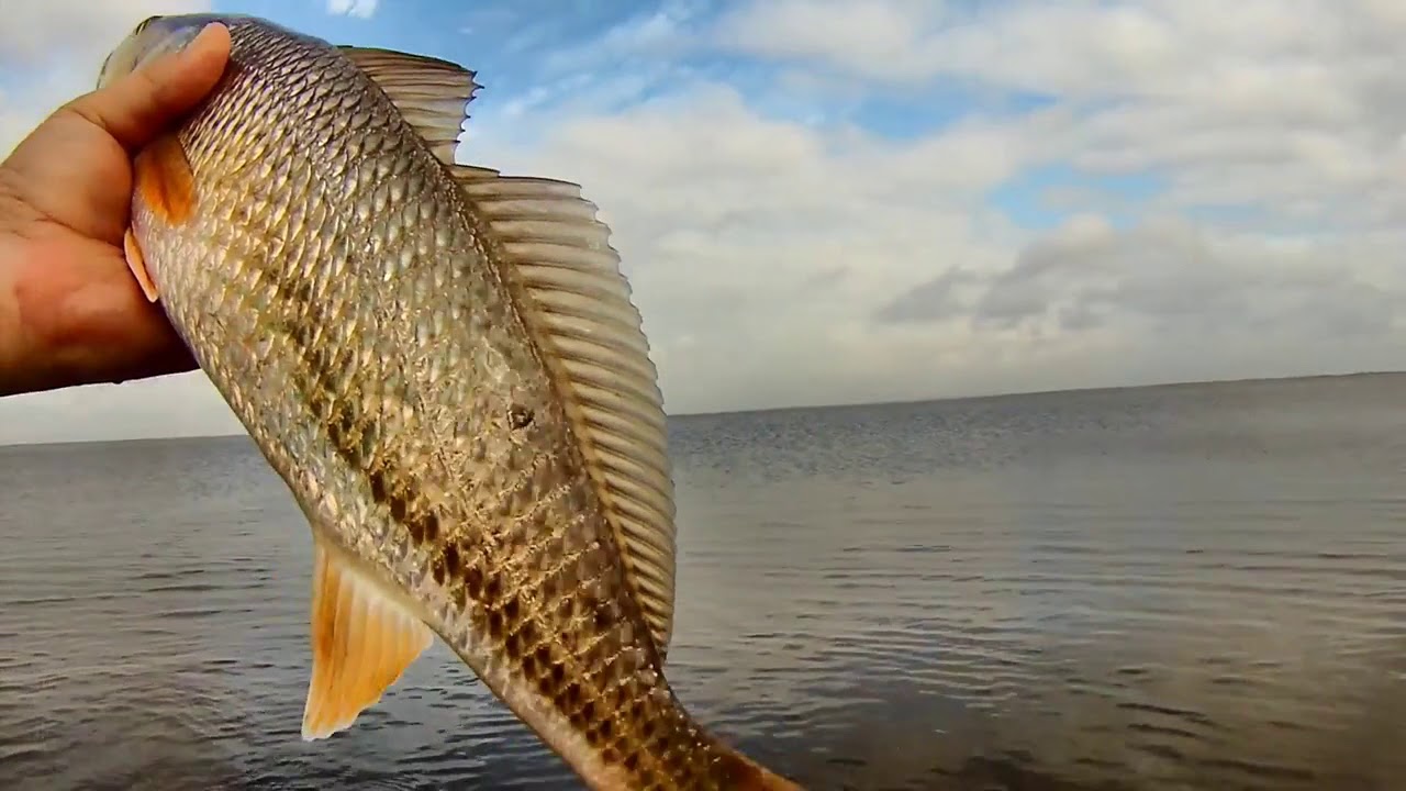 Kayak Fishing Texas, Keith Lake 2-24-2018 - YouTube