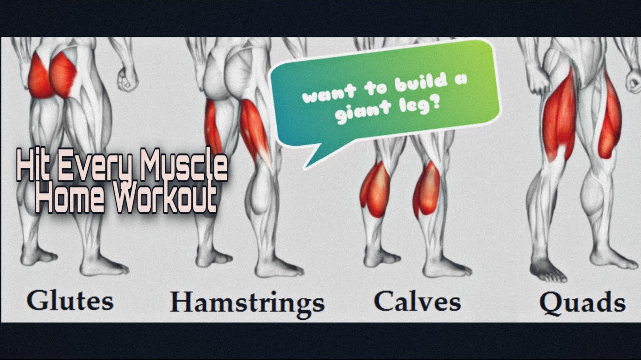 11 Top Leg Exercises for Intermediate Men & Women || Home Workout ...