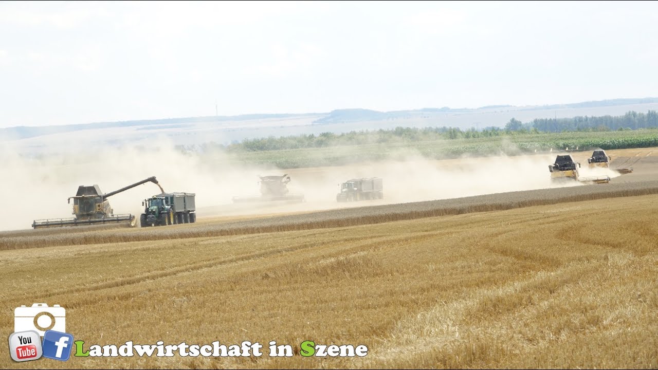3 New Holland CR9.80 & 1 Case Axial 8240 | Magdeburger Börde - YouTube