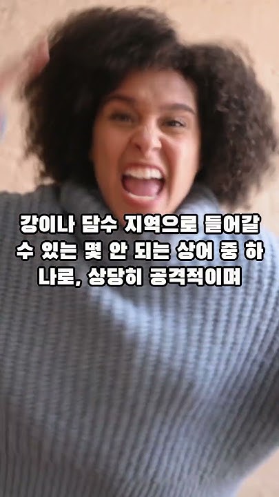 세계에서 가장 위험한 해양 생물 Top4 이슈 지식 Youtube