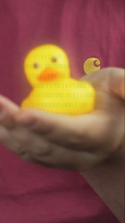 Why Programmers use Rubber Ducks 👩‍💻#technology #programmer # ...