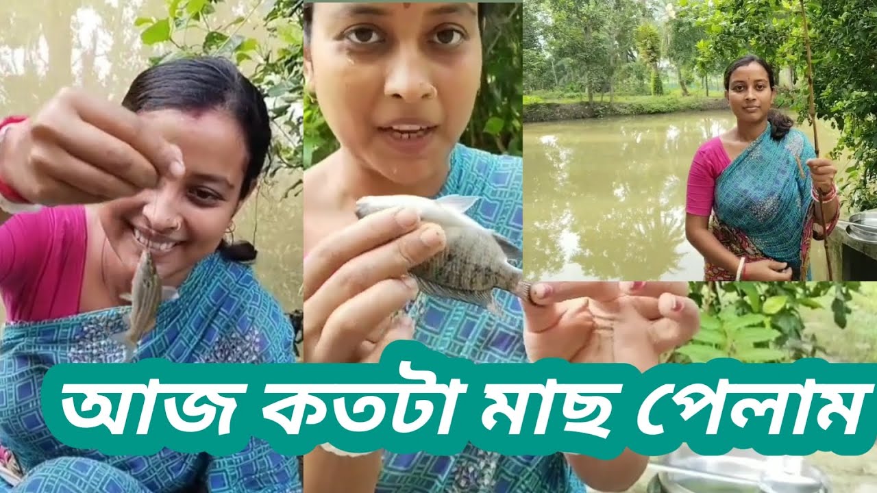 আজ এতটা মাছ পড়বে বরশিতে ভাবতেই পারিনি। Fishing vlog । Bengali village vlog ।Sundarban natural ...