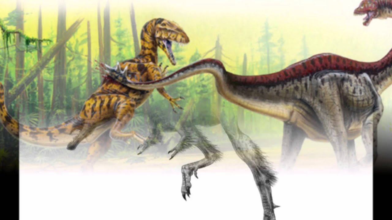 Tribute to Chinese Dinosaurs - YouTube