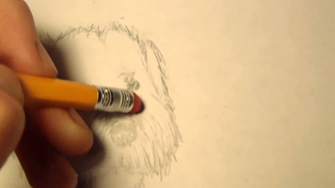 How to Draw a Schnoodle - YouTube