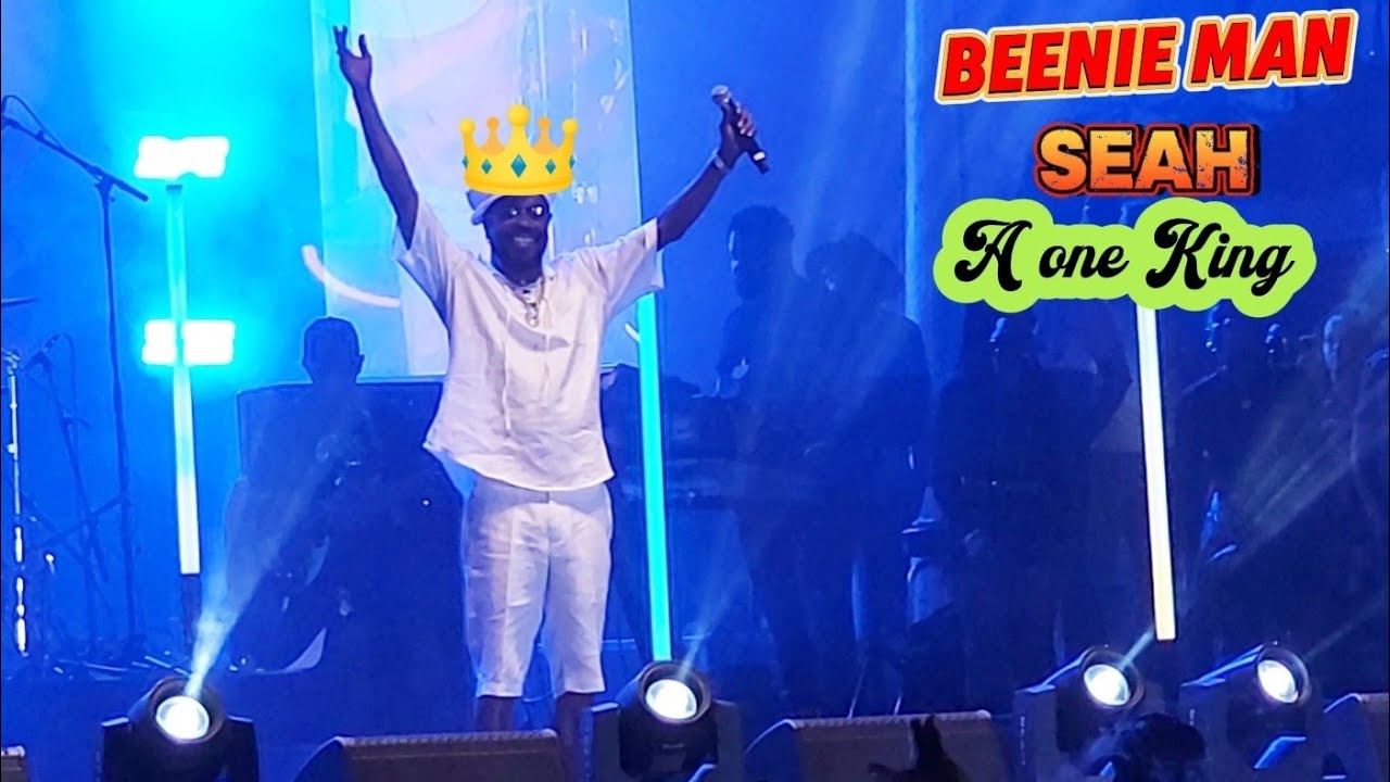 Beenie Man Blaze Rise up NYC concert in Brooklyn & Tell Vybz Kartel it ...