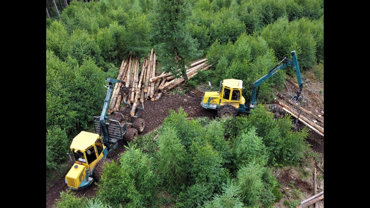 🌲*SOUNDpur* • 2x HSM 208F - 6WD • Forstbetrieb Weuste • Forwarder in ...